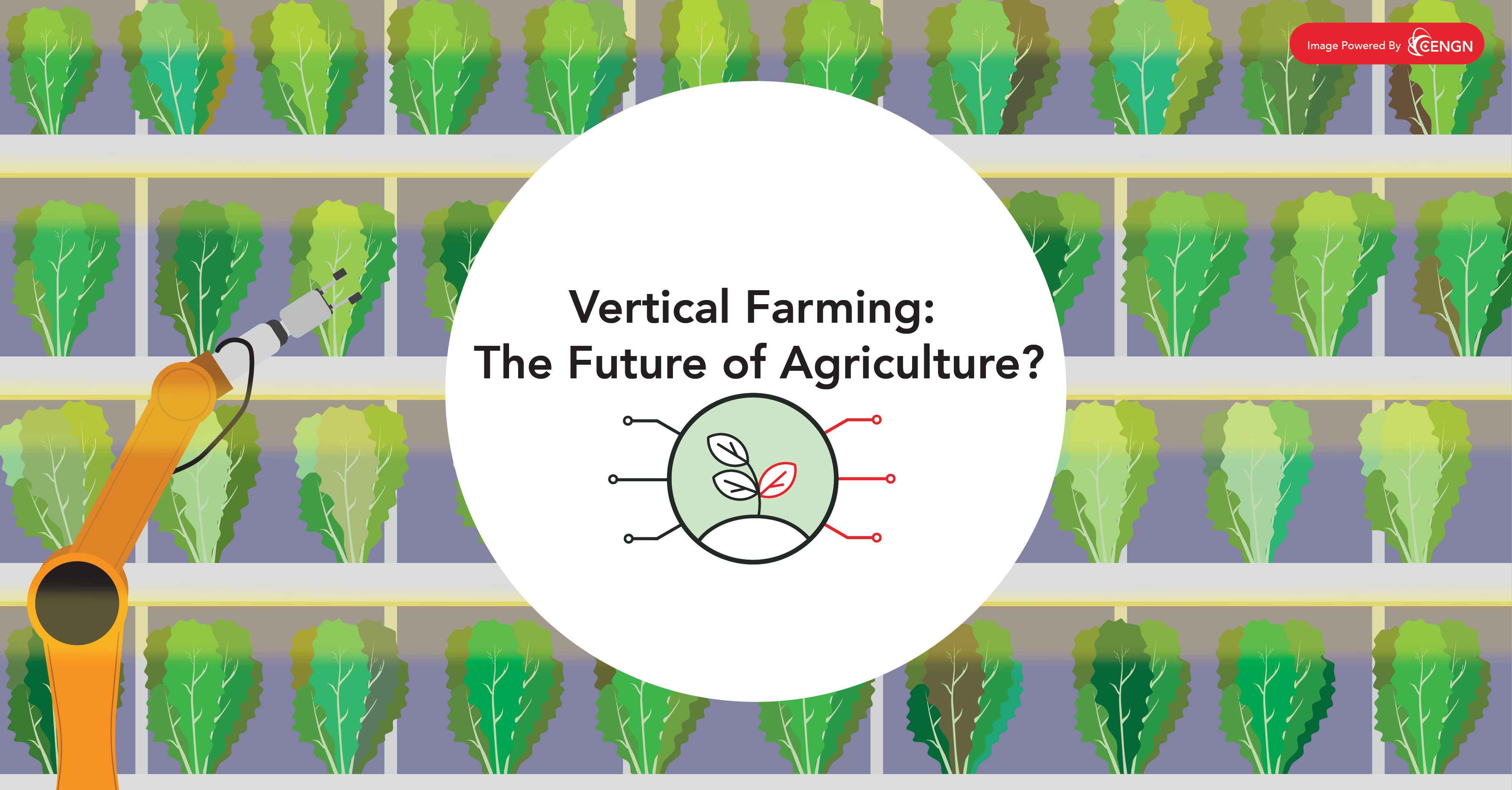 Vertical Farming: The Future of Agriculture? - CENGN